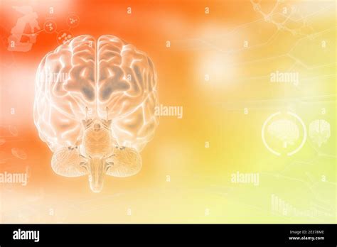 Human Brain Wisdom Analysis Concept Highly Detailed Modern Texture