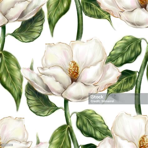 아름 다운 진주 흰색 아이보리 목련 꽃 잎 분기 식물 컴퓨터 그래픽 디지털 수채화 예술 원활한 패턴 배경 0명에 대한 스톡 벡터 아트 및 기타 이미지 Istock