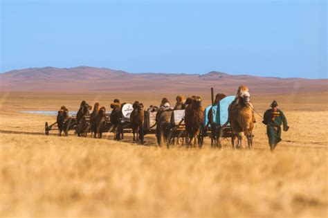 Шилдэг гэрэл зураг