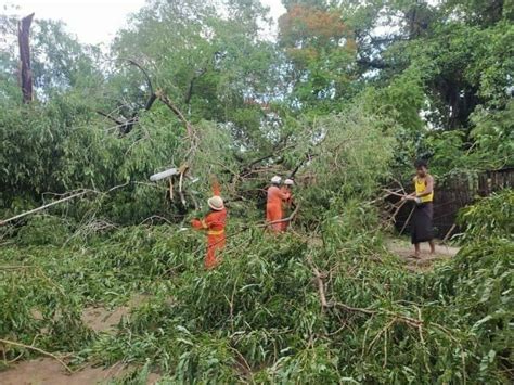 လေပြင်းကြောင့် နေအိမ်ပေါ်သစ်ကိုင်းပိလို့ ကလေးငယ် ၁ ဦးသေဆုံးပြီး ၅ ဦးဒဏ်ရာရ