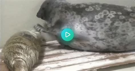 You Scratch My Back Ill Scratch Yours  On Imgur