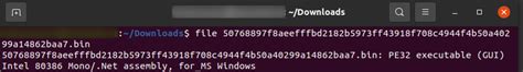 Linux Commands I Use For Malware Analysis