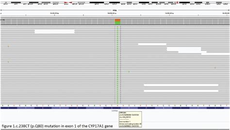 Mutation In Exon 1 Of The Cyp17a1 Gene Download Scientific Diagram