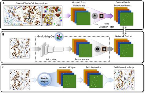 Overview Of The Multi Mapde Method A Preprocessing The Dot Download Scientific Diagram
