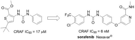 Genomics Practice Quizzes Flashcards Quizlet