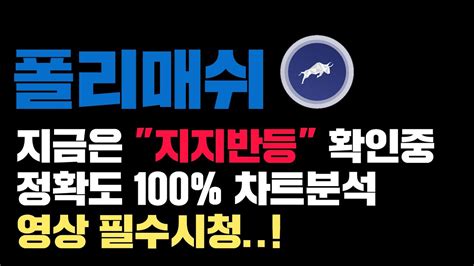 폴리매쉬 긴급 앞으로 골든타임 D 23day 정확도 100 차트분석 지나간 기회를 우리는 재앙 이라 부릅니다 코인시황 Youtube