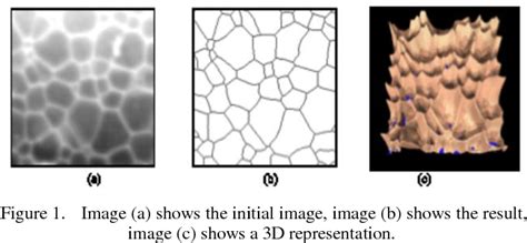 Figure 1 From Fuzzy Color Image Segmentation Using Watershed Transform