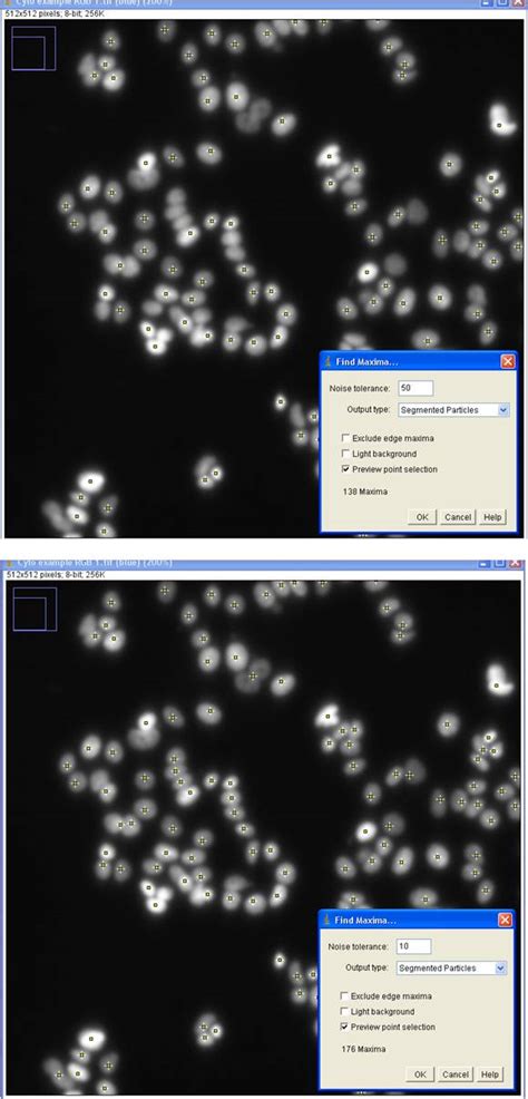 cytometry leeds poster blog segmentation macro for imagej