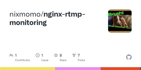 Github Nixmomonginx Rtmp Monitoring