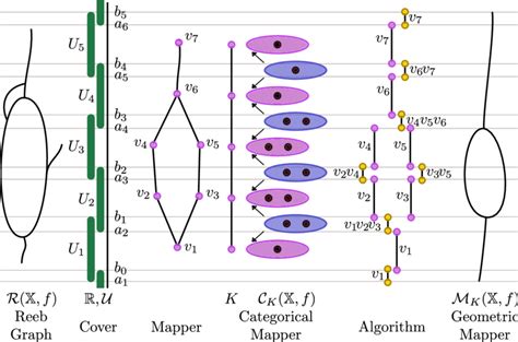 an example of a reeb space for d 1 a reeb graph denoted as r x f download scientific