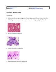 Exercise 4 Epithelial Tissue Pdf Name Qeisha P Danao Grade 1CMT 1 Date Sept 24 2021
