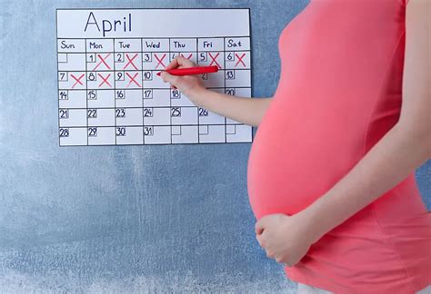 How To Calculate Pregnancy By Weeks Months Trimesters