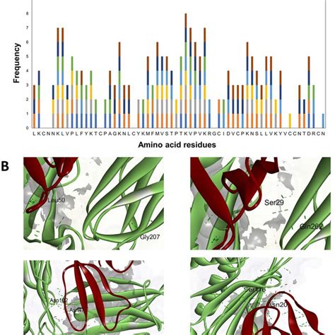 The Molecular Docking Analysis Of Cytotoxin Ctx With Different Human Download Scientific