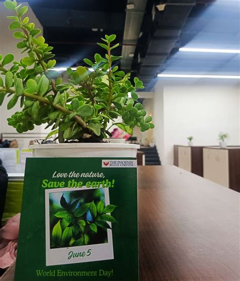 Manya Goswami On Linkedin Worldenvironmentday Sustainability Thephoenixmillslimited