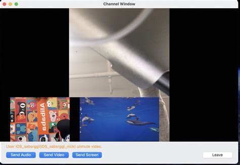 运行 Mac Demo 音视频通信 RTC 阿里云帮助中心