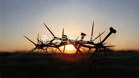 가시면류관 가시관 못 예수그리스도 가시 사진이미지일러스트캘리그라피 Artin작가