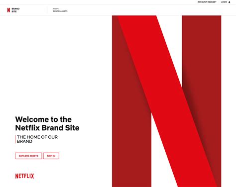 Netflix шрифт