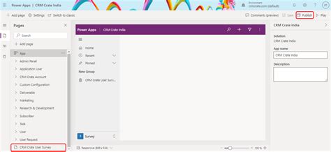 Understanding And Creating Custom Pages In Dynamics CRM Crate