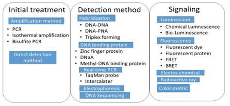 Classification For The Strategy For Detecting Dna Download Scientific Diagram