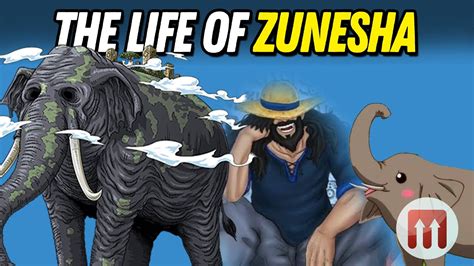 One Piece The Life Of Zunesha Youtube