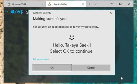 Wsl Hello Sudo Brings Windows Hello Authentication To Windows Subsystem
