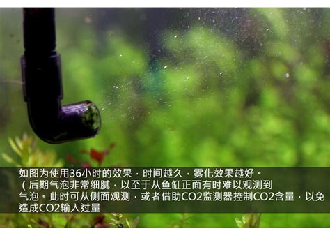 仟锐外置扩散桶二氧化碳细化器水草鱼缸co2钢瓶发生器套装雾化器 阿里巴巴