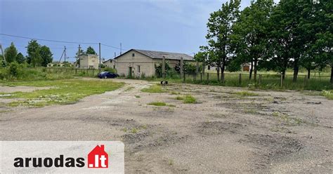 Kiauliu Ferma Skelbimai Skelbiu Lt