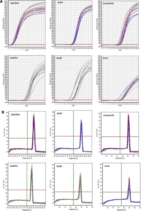 Specificity Of Real Time Pcr Amplification A Quantification Curve For