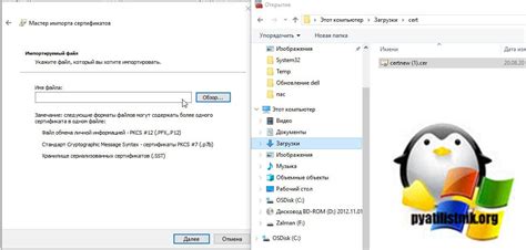 Выпуск Wildcard сертификата в Windows Certification Authority Настройка серверов Windows и Linux