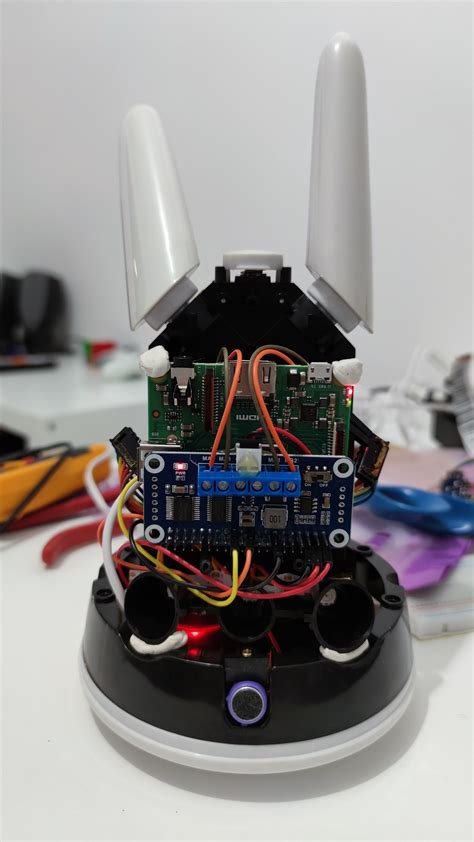Nabaztag As A Rhasspy Satellite Show Us Rhasspy Voice Assistant