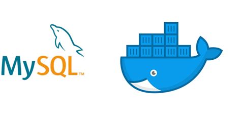 Backup Mysql Database That Running On Docker Container Dev Community