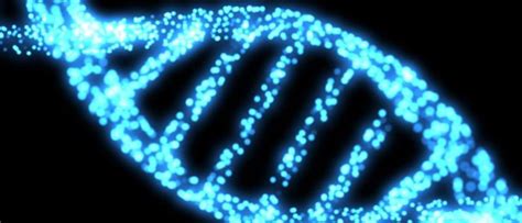 Gene Fusions In Cancer Understanding The Basics Of Oncogenic Fusion