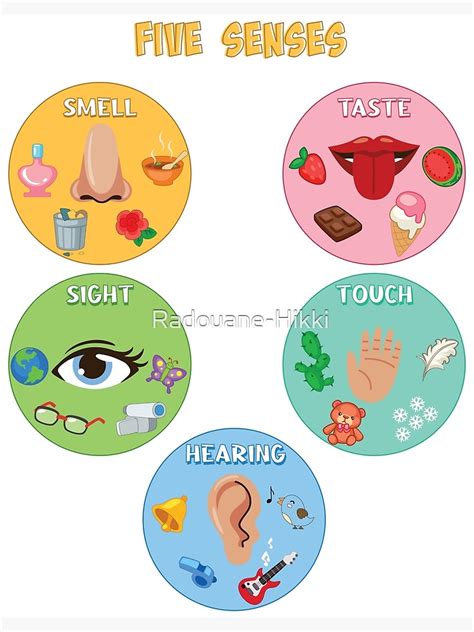 My 5 Senses Poster Anchor Chart Preschool Kindergarten Five Sense