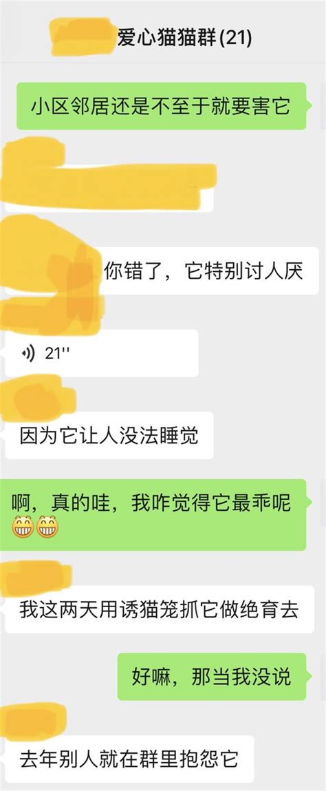 萤火虫之地 on Twitter 花格格眼看要蛋蛋不保 我们小区邻居还是可以有几个愿意出钱出力的行动力也不错门口画家老婆收养了15