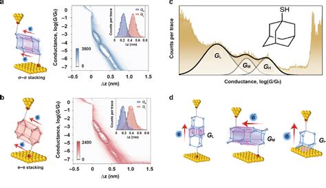 Figure 1 From Understanding Emergent Complexity From A Single Molecule Perspective Semantic