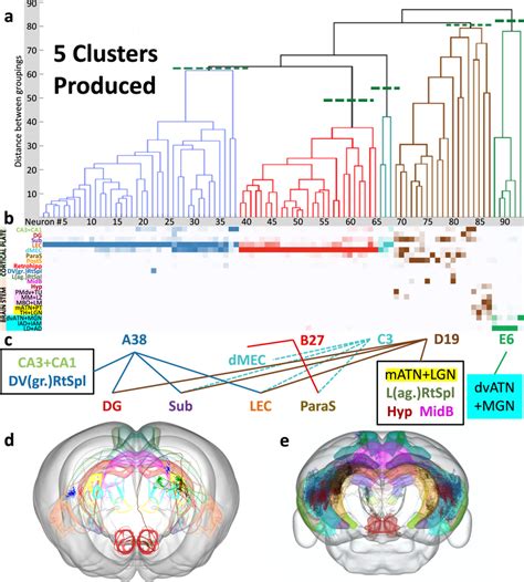 Classification Of Projection Neuron Types In The Presubiculum A