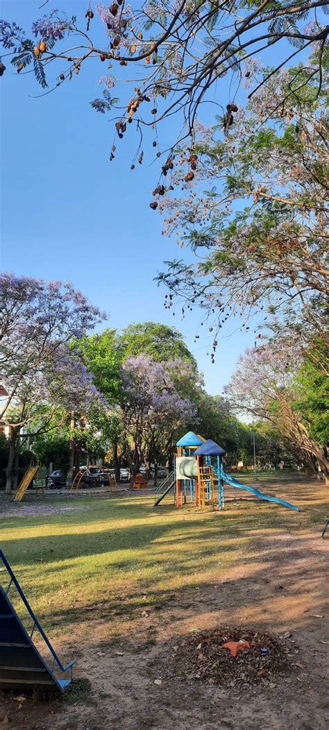 Paramjeet Singh Karir On Linkedin Jacaranda