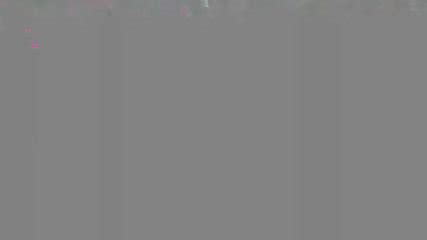 In A Neighboring Forest