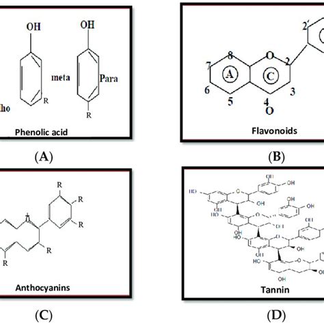 Pdf Phytochemicals Extraction Isolation And Identification Of Bioactive Compounds From