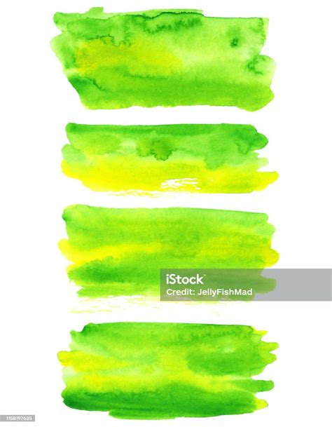 수채화 얼룩을 설정 합니다 흰색 배경에 있는 지점입니다 수채화 배경입니다 브러시 스트로크가 있는 수채화 텍스처 녹색 노란색 추상화 격리 벡터 녹색에 대한 스톡 벡터 아트 및