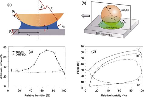 A B Geometry Of Meniscus Condensed On Single Asperity Contact