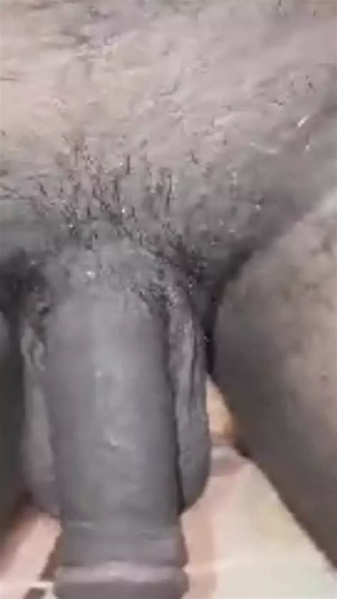 Tamil Sunny Gay Black Black Porn Feat Savitha Xhamster