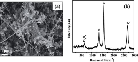 a sem micrograph and b raman spectrum of the composite film on