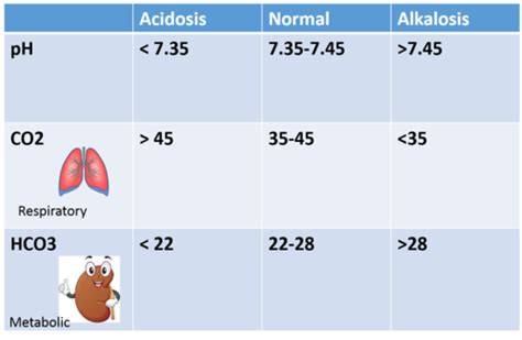 Lab Values And Insulin Onset Peak Trough Flashcards Quizlet