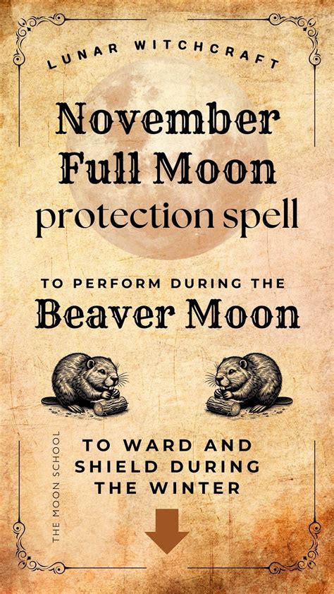 November Moon Magick How To Cast A Beaver Moon Protection Spell The