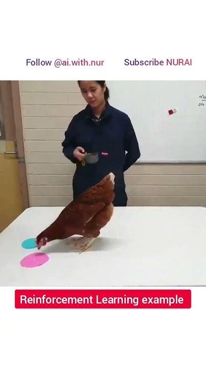 reinforcement learning example deeplearning shorts youtube