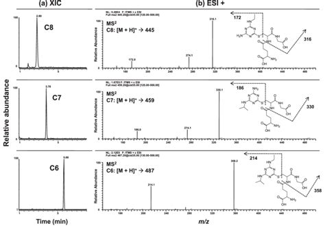 Ion Chromatograms And Mass Spectral Data With Proposed Msms