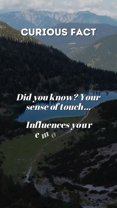 The Power Of Touch How Your Tactile Senses Shape Emotions And Social Judgments🤝💫🖐️ Psychology