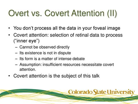 Human Visual Attention Ppt Download