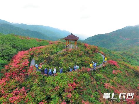 星辰在线 发现浏阳河
